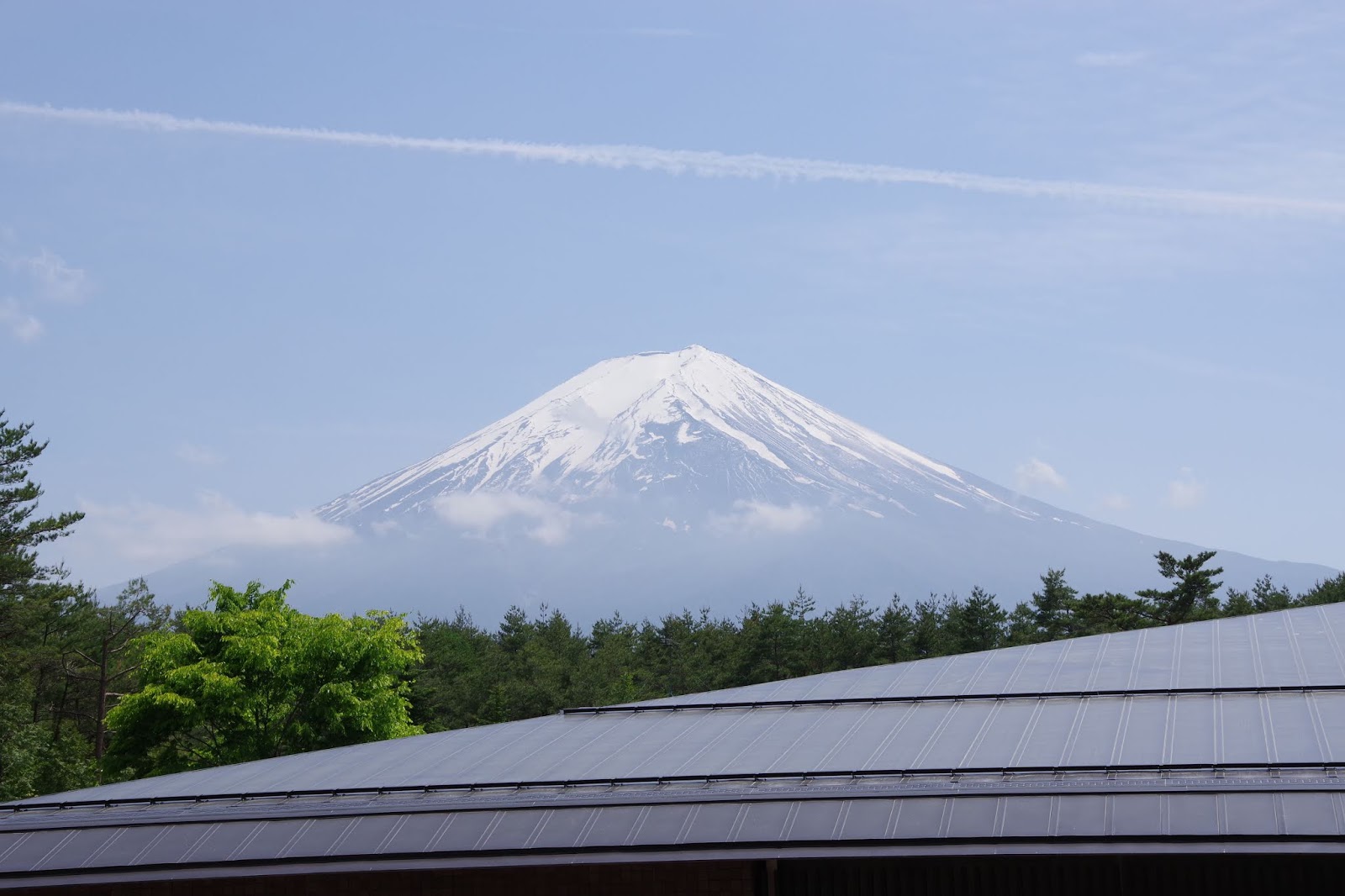 Fujisan World Heritage Center - Climbing Mt. Fuji in 5 min! | Life in ...