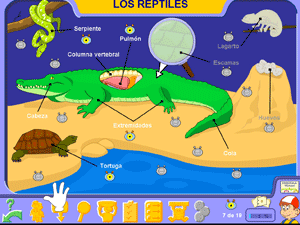 JUEGOS EDUCATIVOS PIPO: LOS REPTILES
