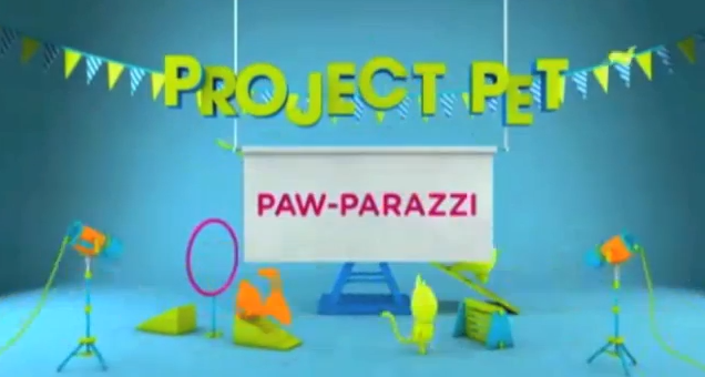 My Favorite Pup Jasmine: Jasmine's TV Appearances