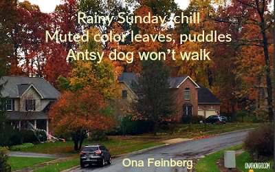 Beyond LiteracyLink: Unveiling of Autumn Ablaze Gallery