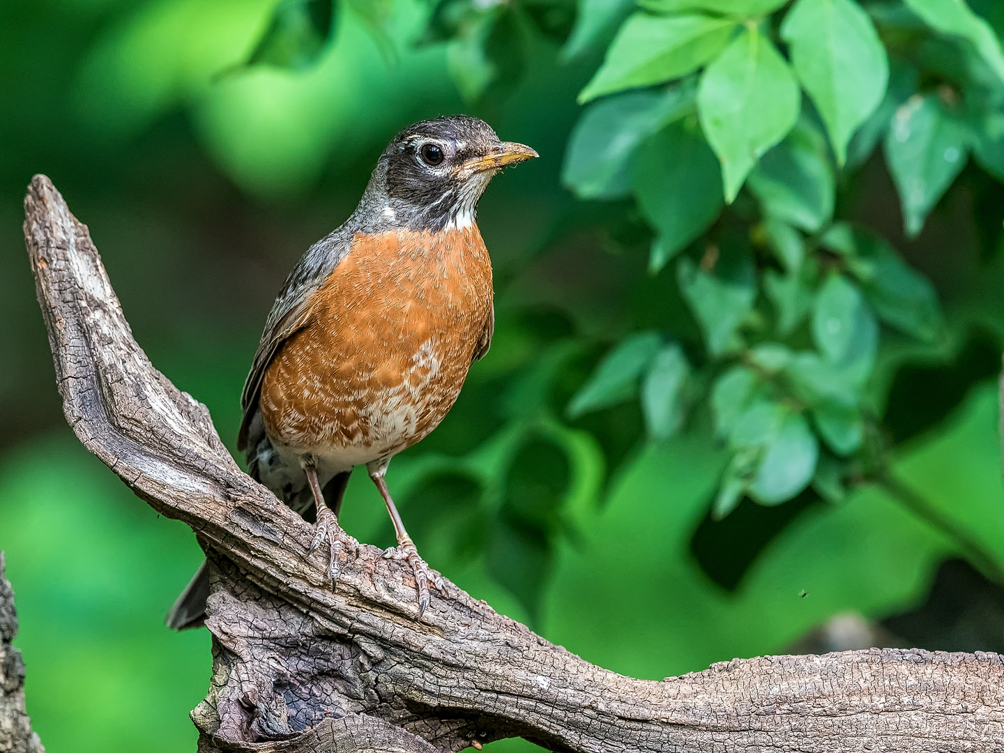 Mike's Photographs : The Regular Crowd