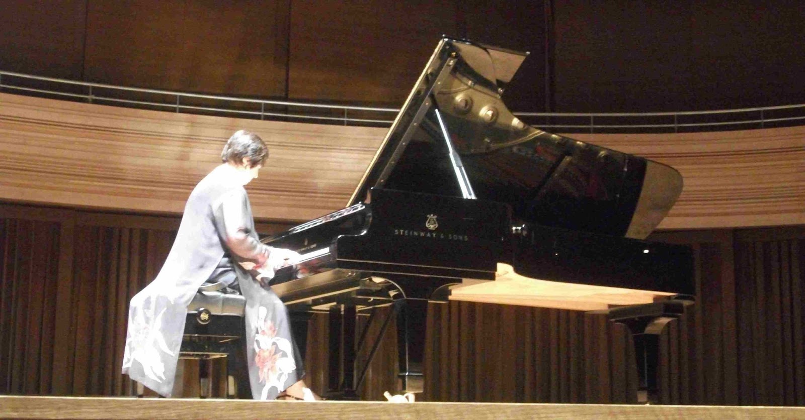 pianomania: ANN SCHEIN Piano Recital / Review