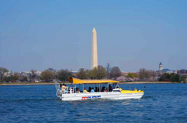 Marine Aviation Spouses' Club Photo Gallery & BLOG