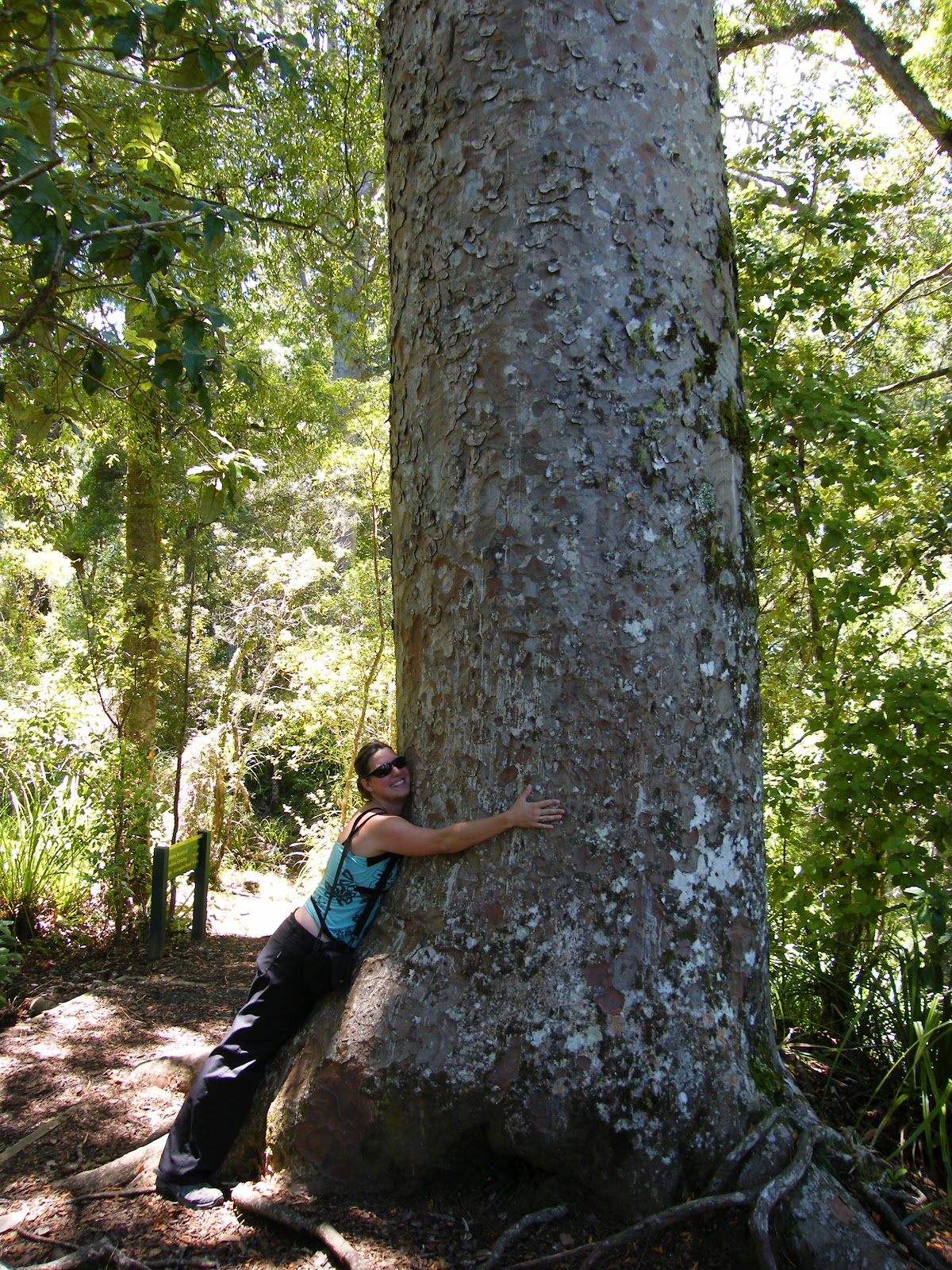 The Life and Adventures of Mel: Crosbie's Hut: Weekend Tramp