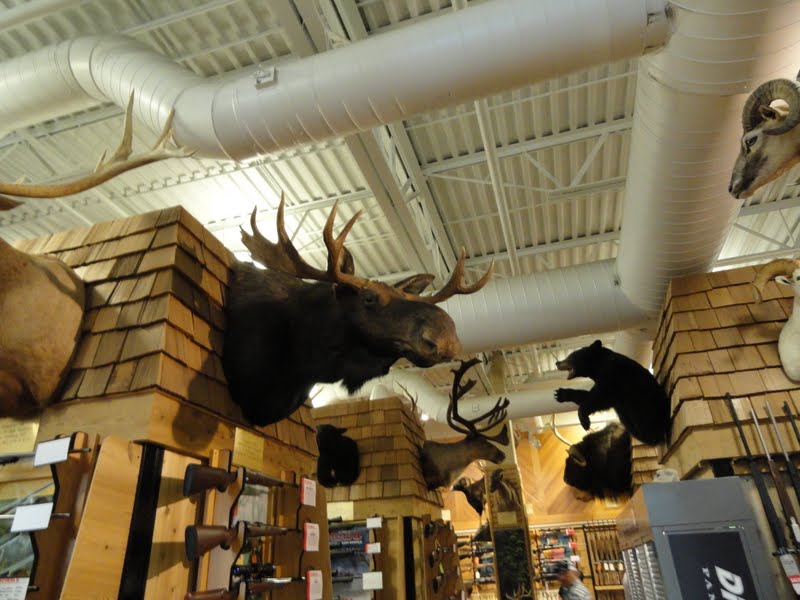 BJ Travels: Scheels Store