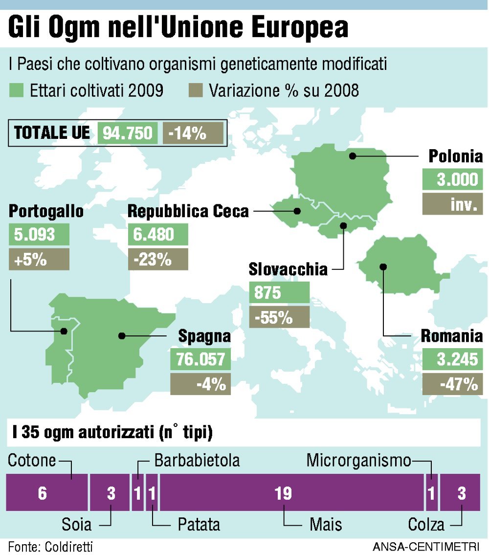 quaeram: Cosa sono gli OGM