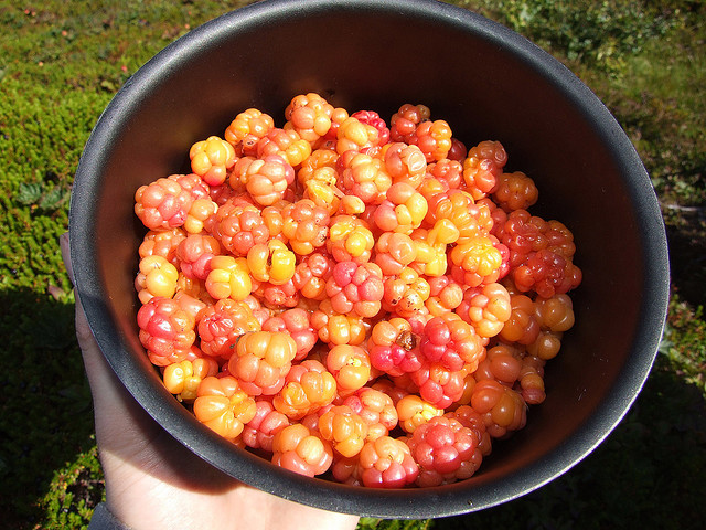 Fruit Warehouse: Cloudberry ( Rubus chamaemorus )