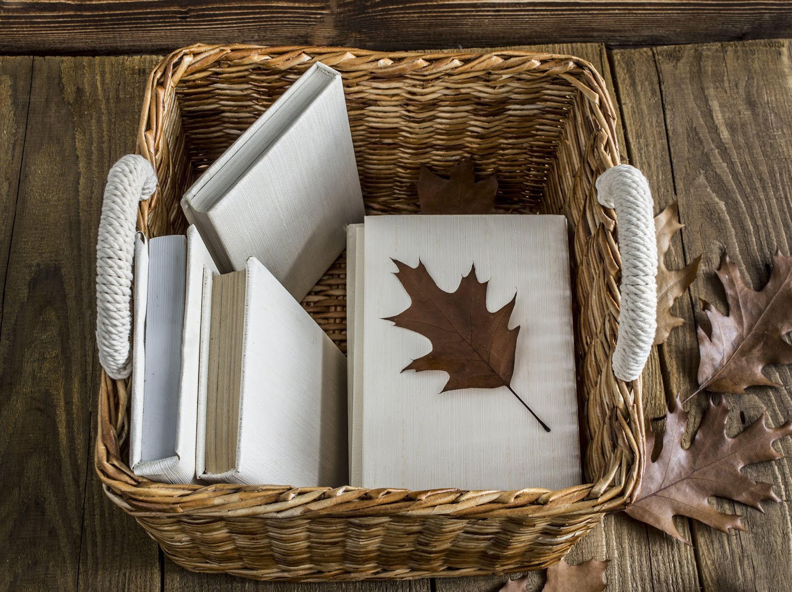 A Wise Woman Builds Her Home: Morning Basket Time