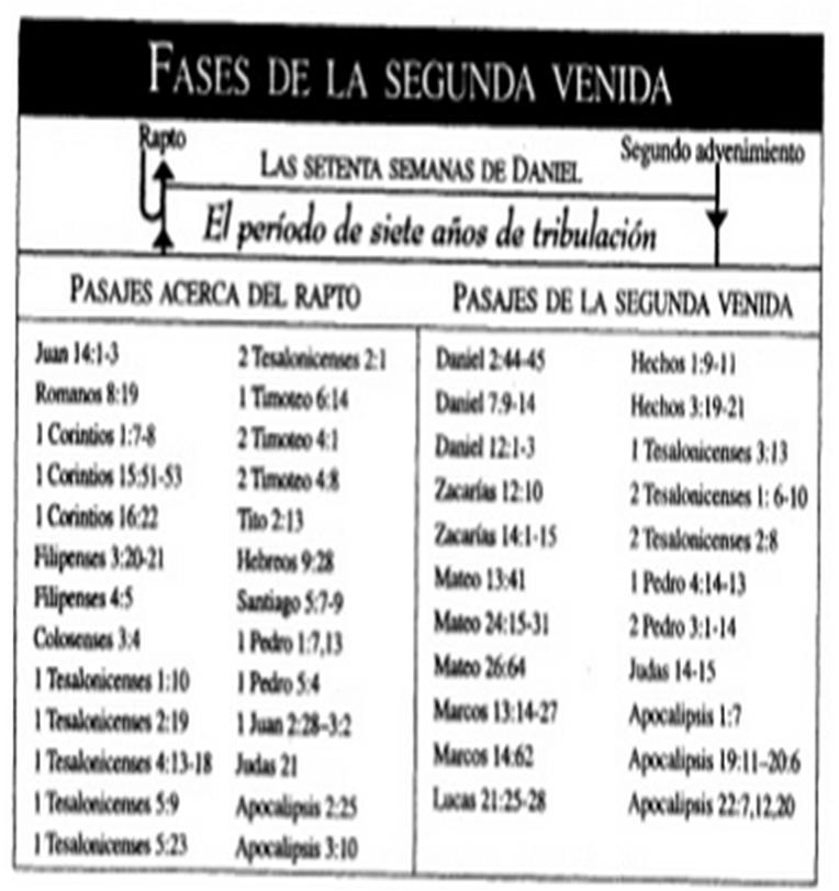 APOCALIPTICO: FASES DE LA SEGUNDA VENIDA DE CRISTO