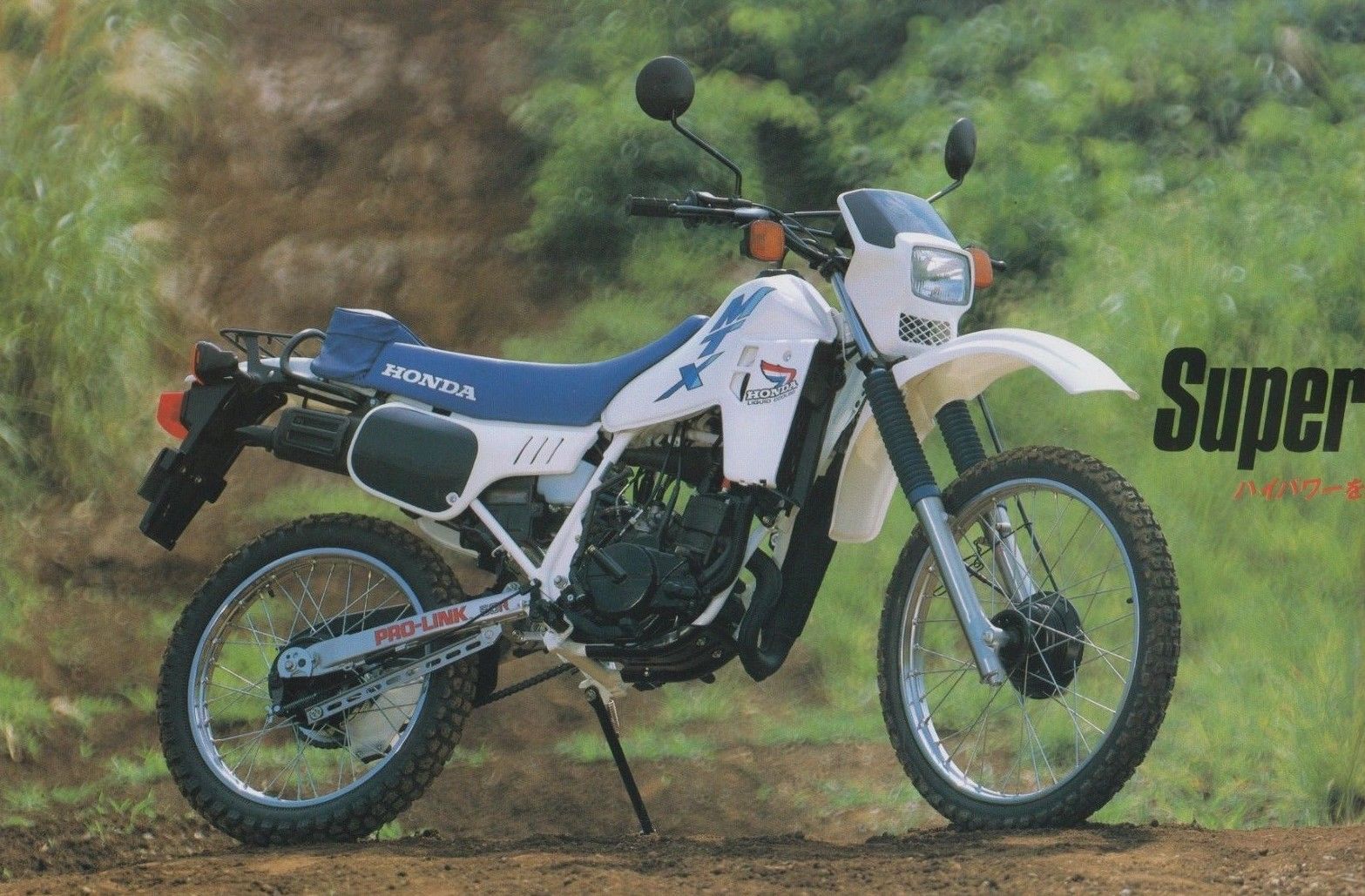 Honda M Club: Honda MTX50