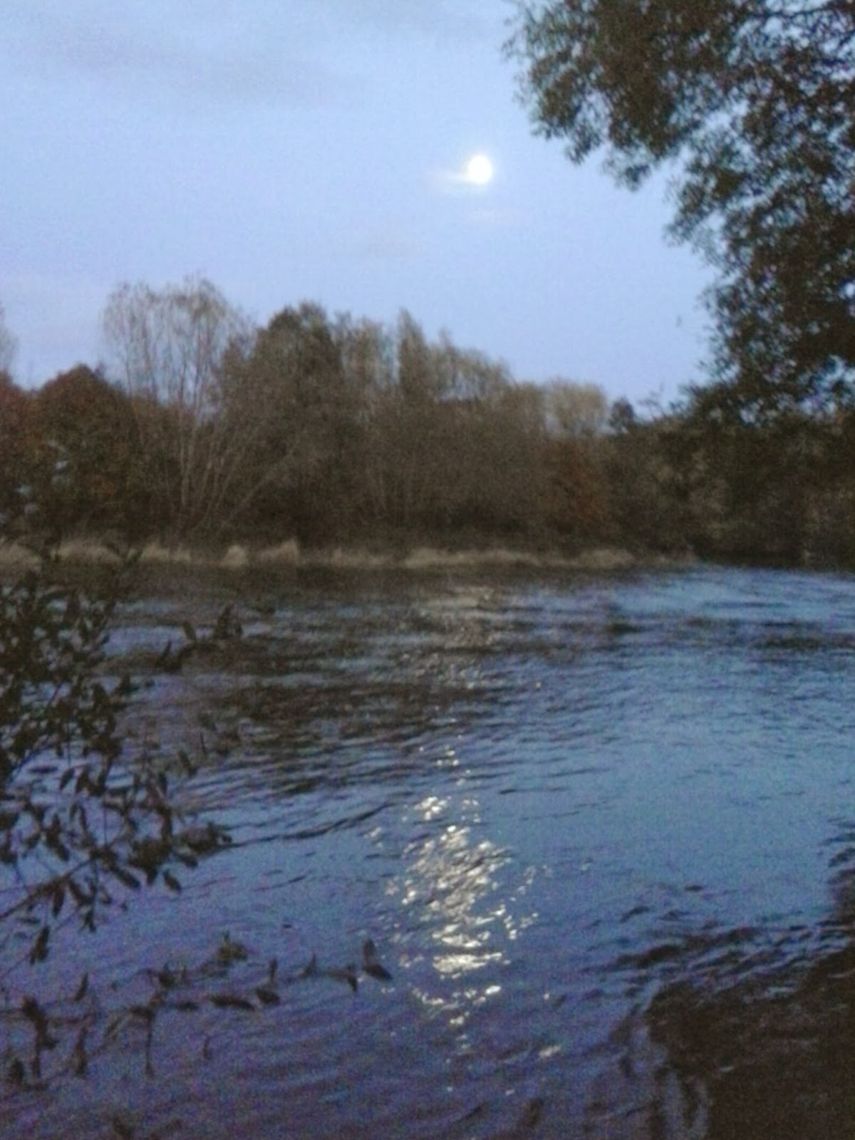 words and ideas, poetry and images: haiku. moonlit river. distant