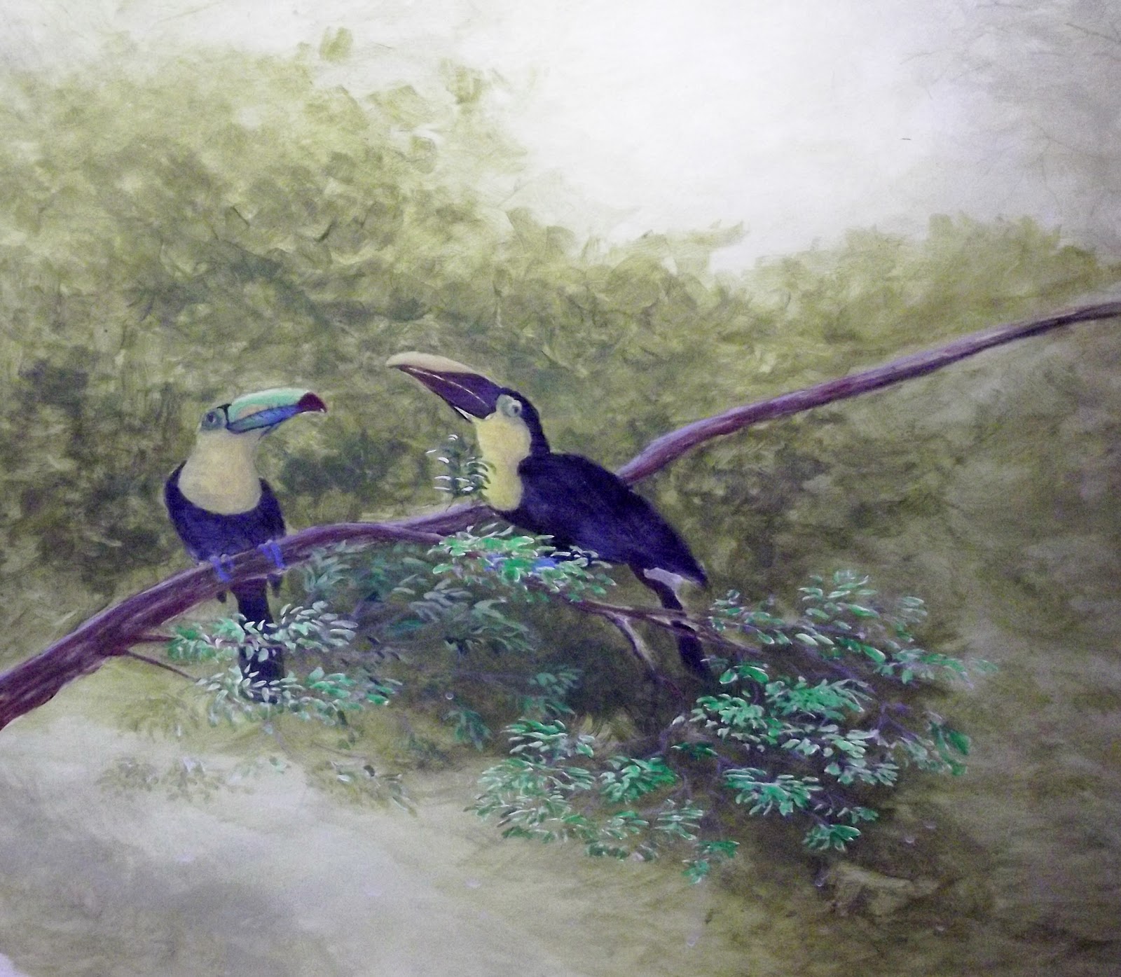 Jungle and Rainforest Art of Costa Rica: Jungle Birds of the Rain ...