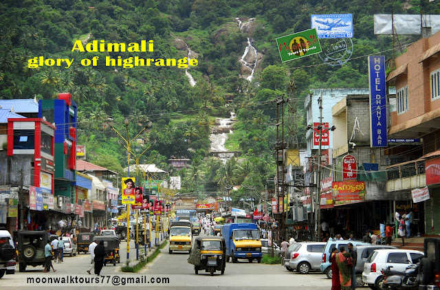 MOONWALK TOURS : ADIMALY gate way of MUNNAR