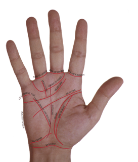 LEARN INDIAN PALMISTRY ONLINE FREE ~ INDIAN PALM READING | HAST REKHA GYAN