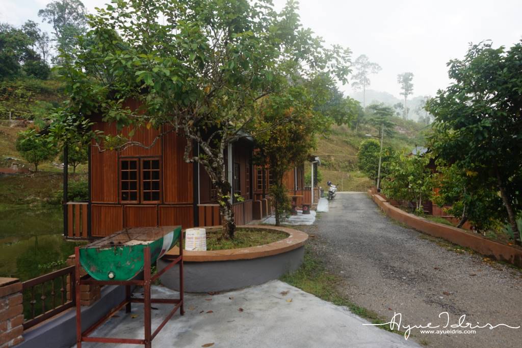 Ajlaa Village Resort | Jenis Bilik, Harga dan Fasilities | AYUE IDRIS