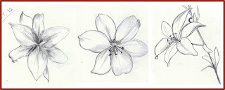 Weekly : Doodles and tuts: How to draw Lilies - Method 1