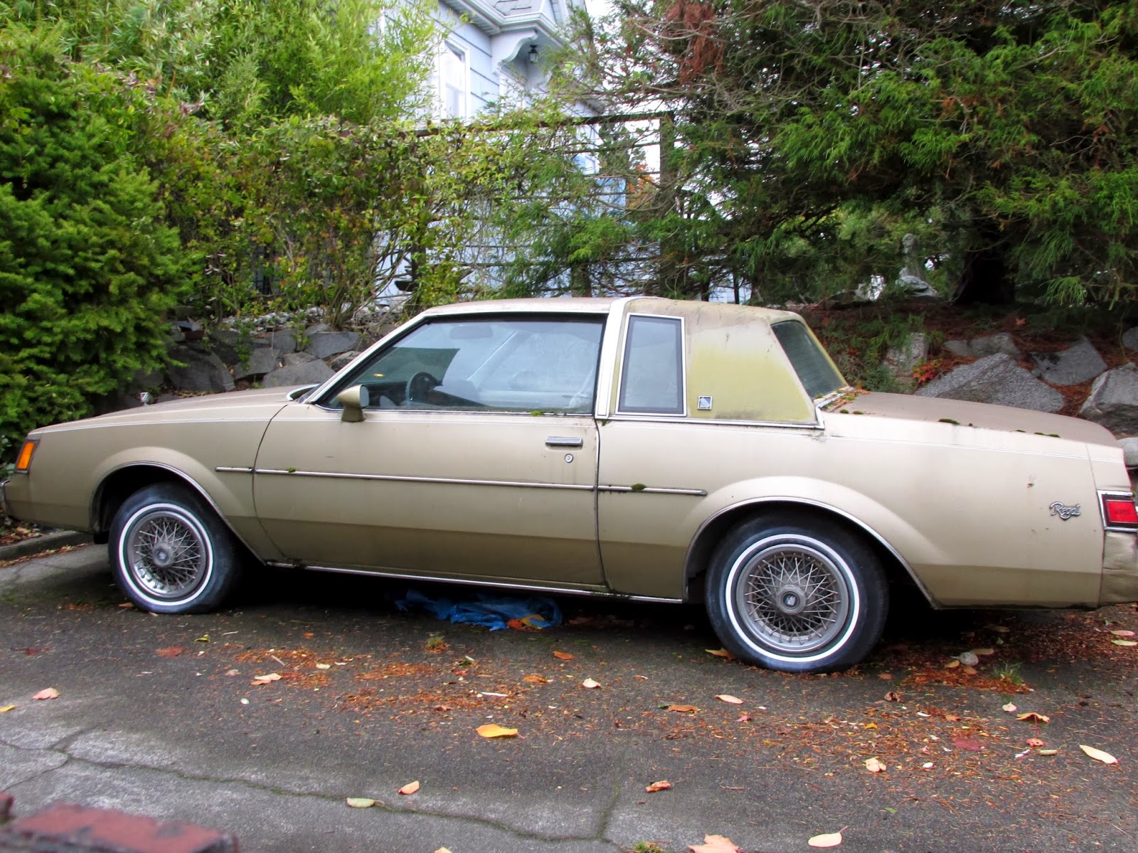 Seattle's Classics: 1985 Buick Regal