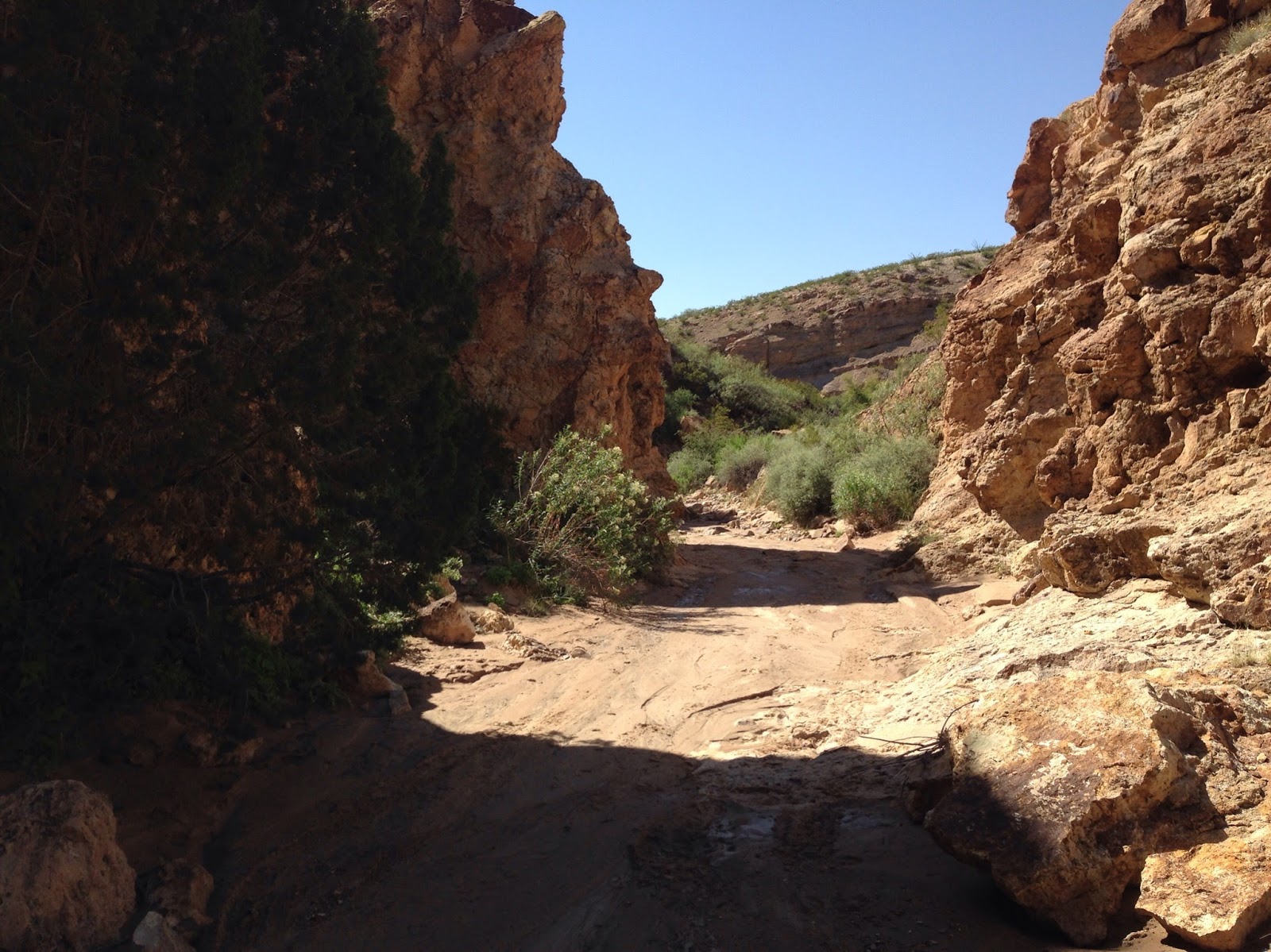 Southern New Mexico Explorer: Box Canyon revisited- Organ Mountains ...