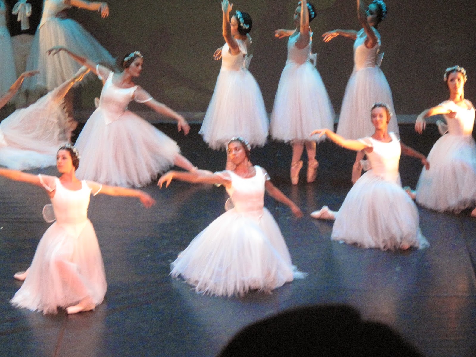 1ª promocion de Grado en Artes Visuales y Danza | Si Coppelia Vistiera ...
