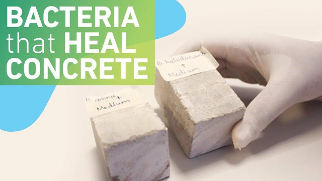 self healing concrete