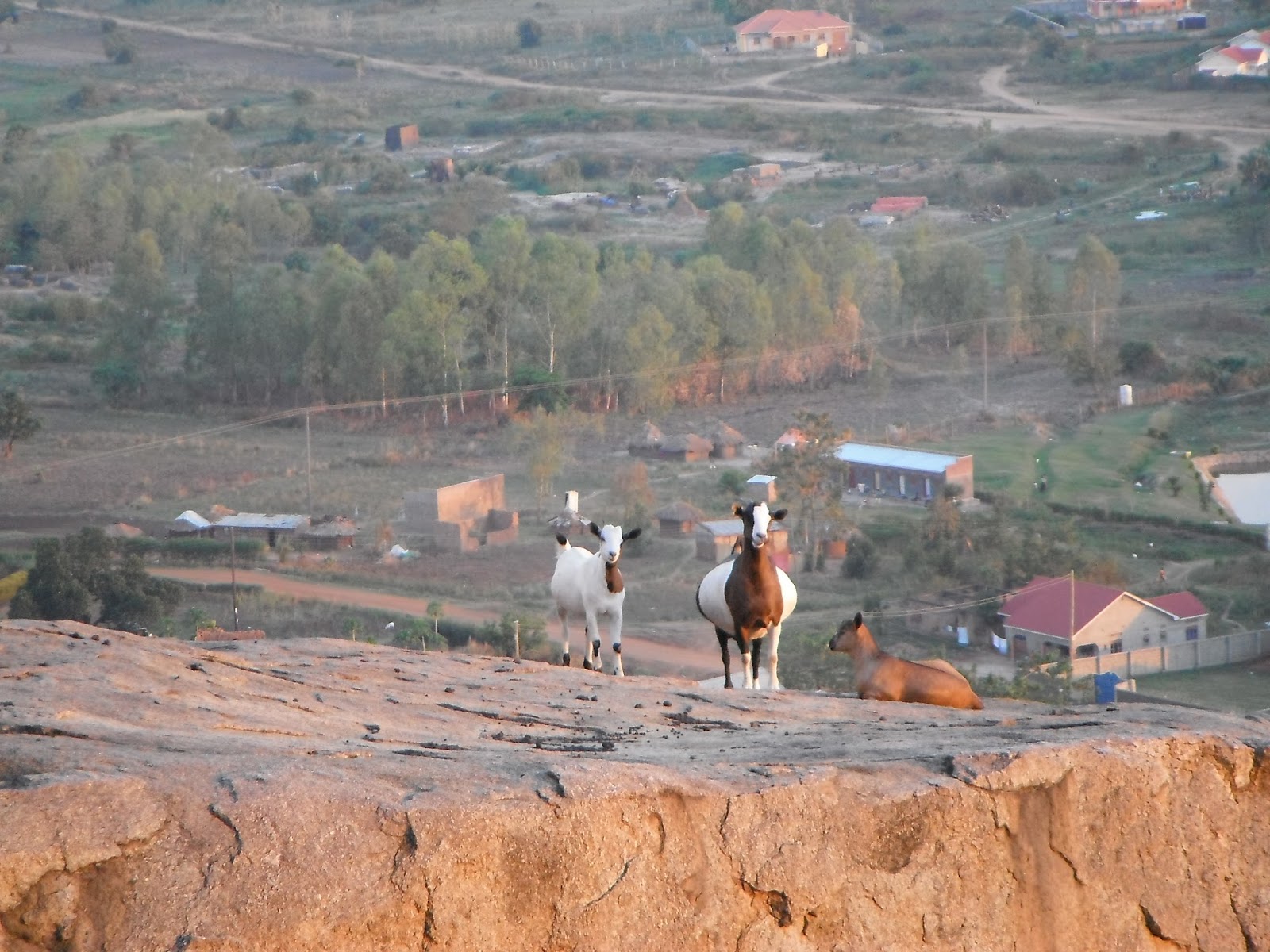 the Orange Canadian: On Top of Soroti