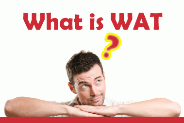 Eyup's Blog: What's WAT