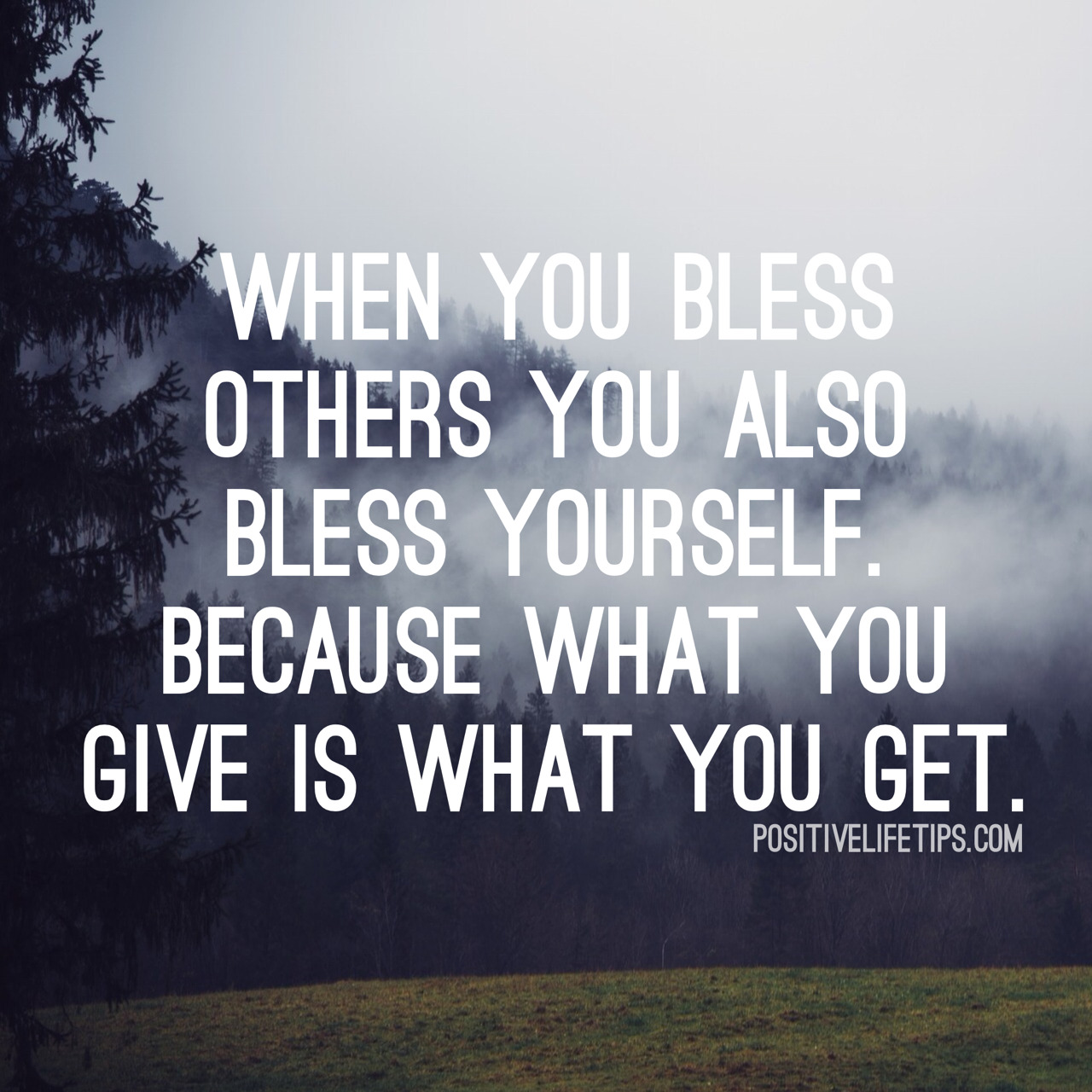 the wonderful words..