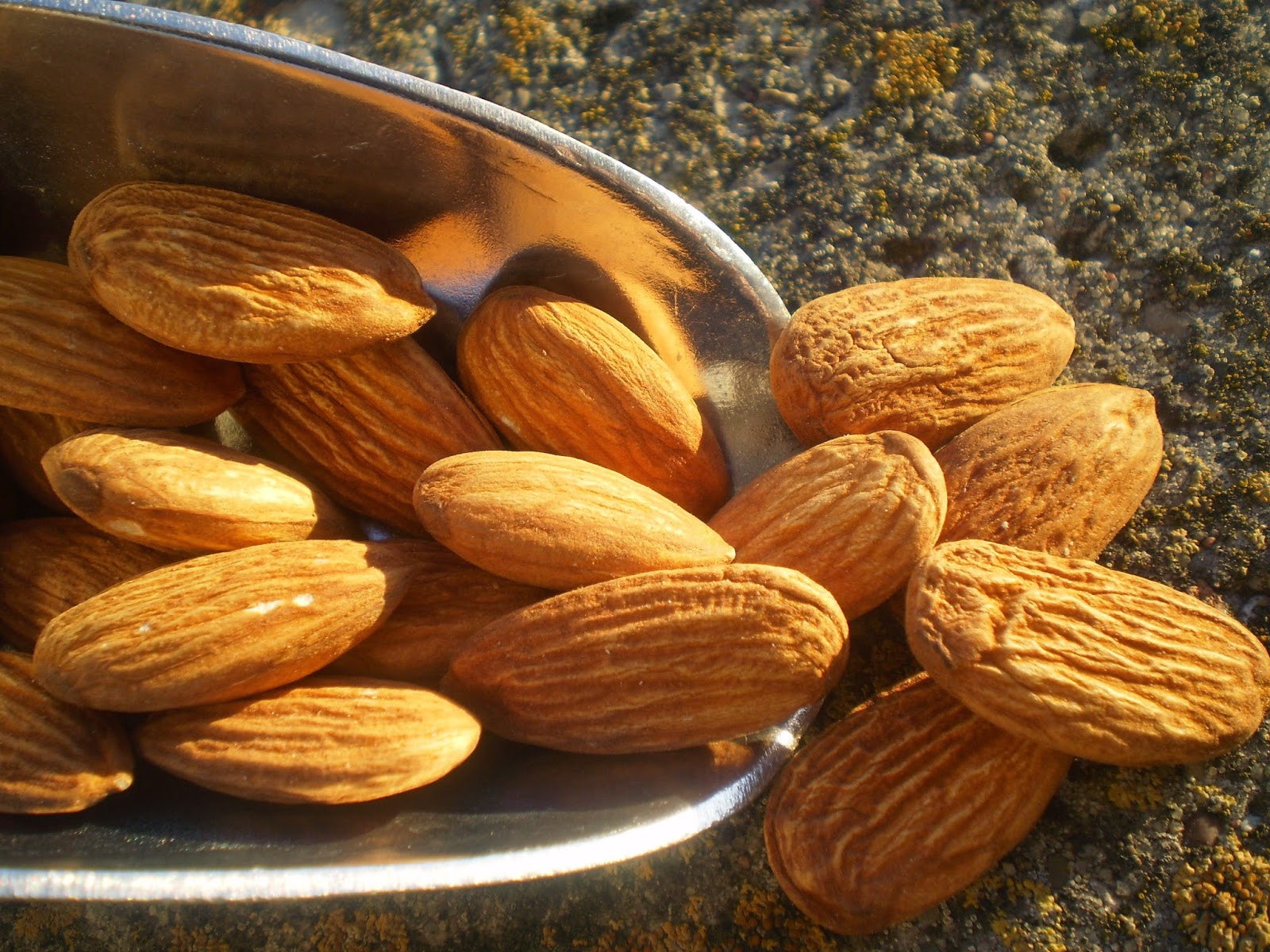 vinotava1: TRUSIS MANDEĻU MĒRCĒ (CONEJO CON SALSA DE ALMENDRAS)