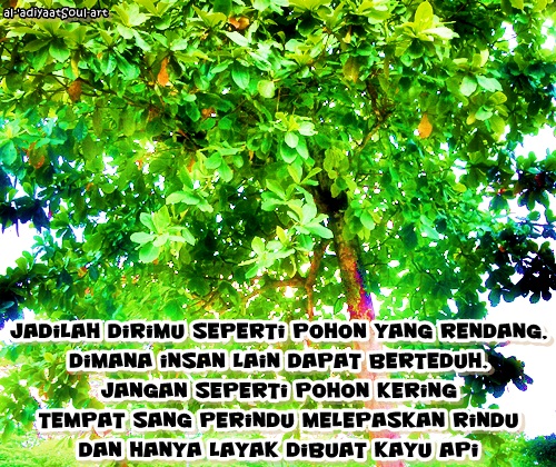 a spiral of tarbiyyah: gambar: pohon yang rendang.