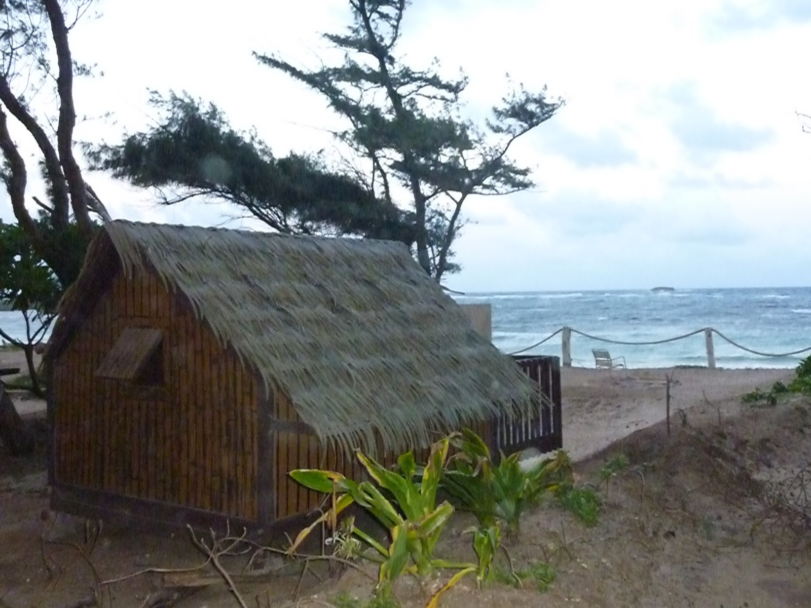 shenanigans: Grass Shack