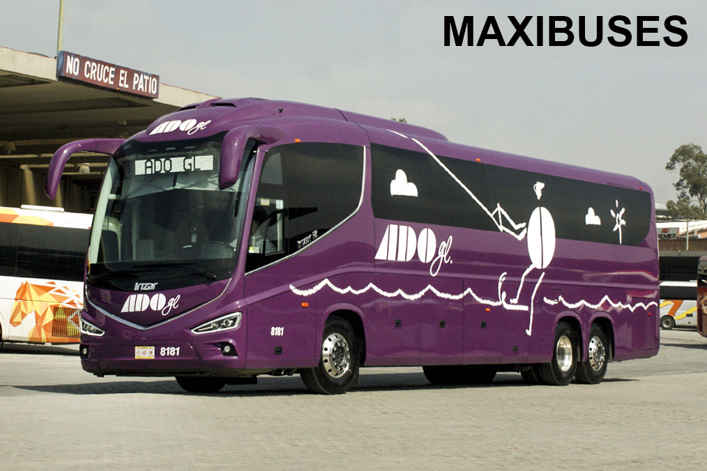 MAXIBUSES: ADO GL