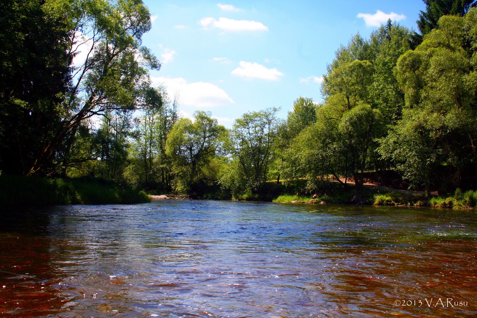 Vladys Fly Fishing Lair: Killer Dry Fly - Modified Jingler (Part I)