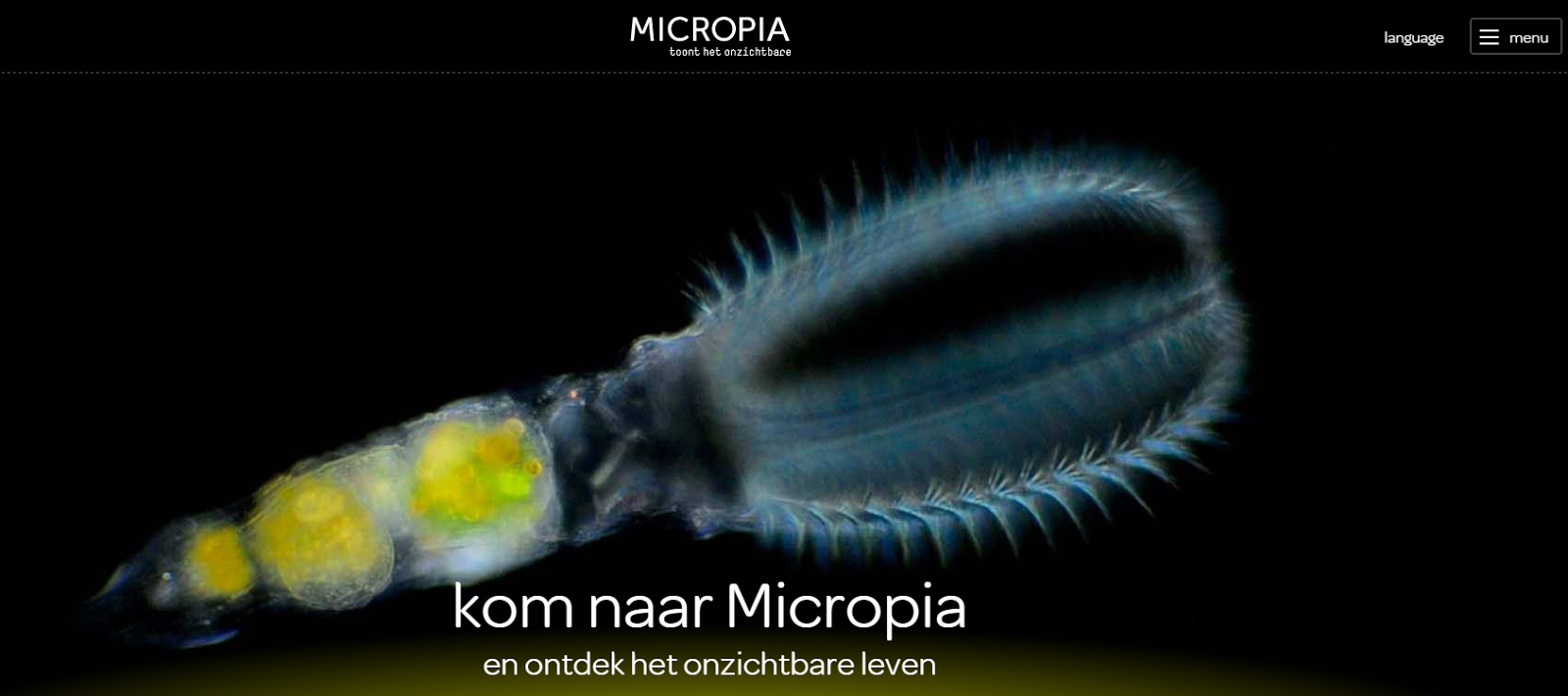 Crea y aprende con Laura: Micropia. El Museo de lo invisible