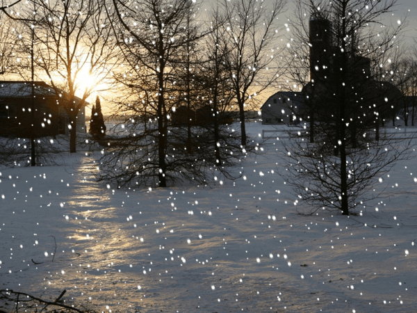 PAISAJES ANIMADOS: Paisaje animado de nieve (13) La felicidad (Manuel ...