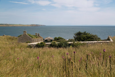 Sea kayaking with seakayakphoto.com: Murder at Little Ross Lighthouse.