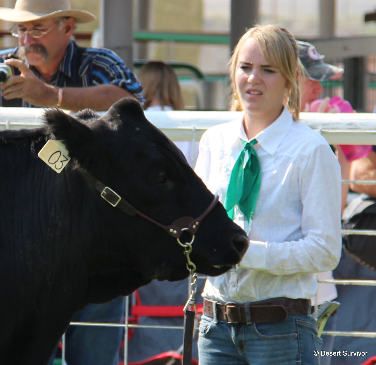 Desert Survivor: White Pine County Fair 2012