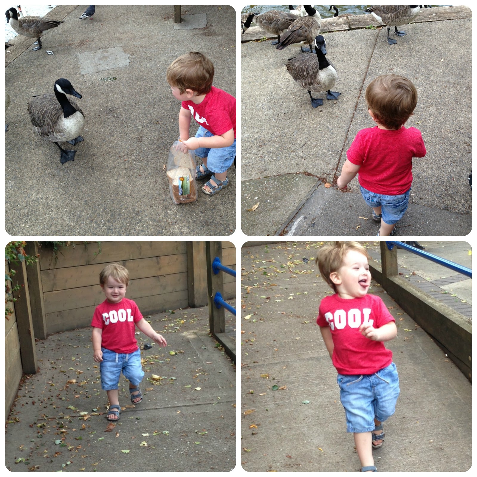 Life Unexpected: August 2013