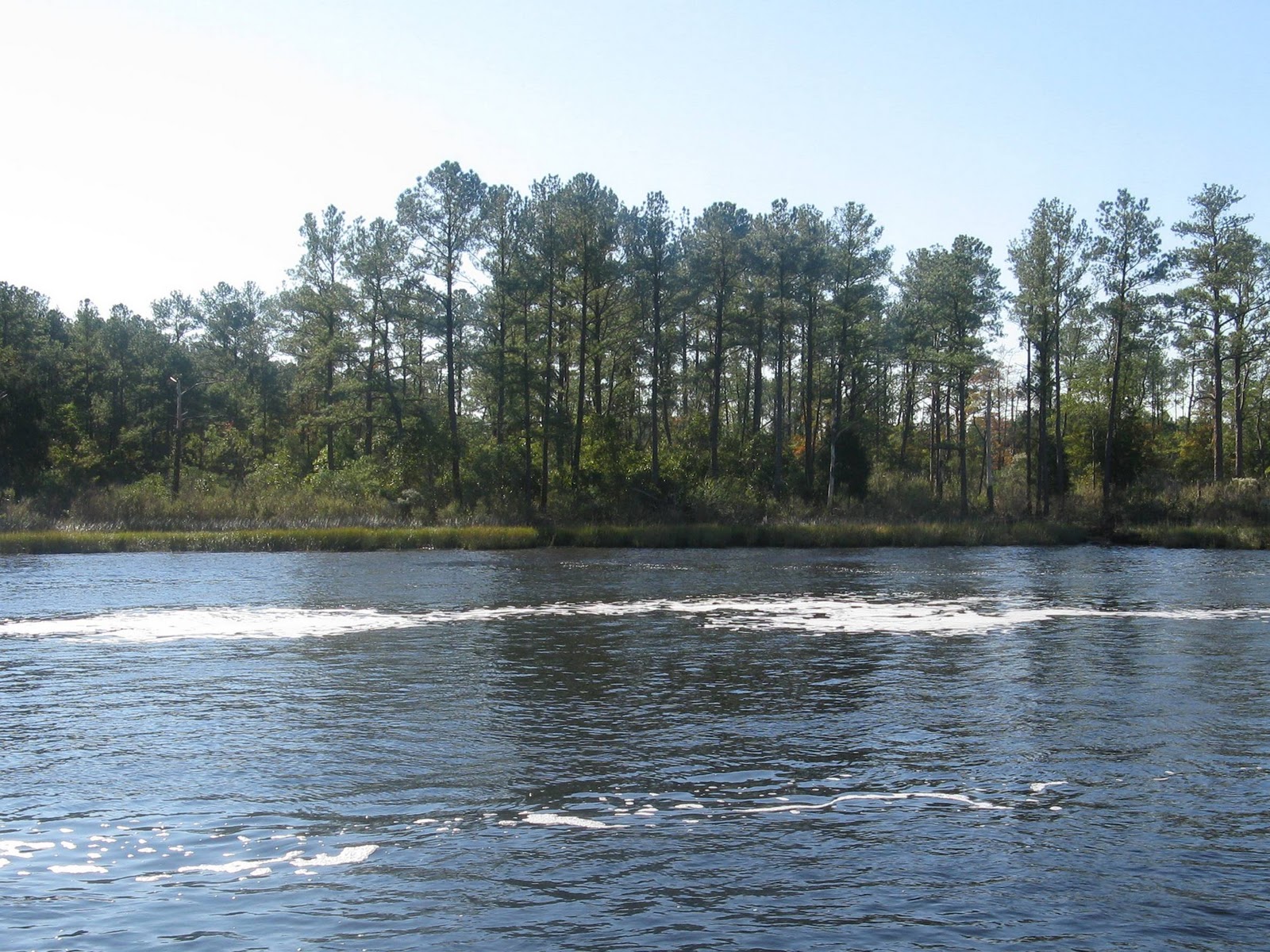 Sue & Dave's Travel Log: What to do when your camera quits?