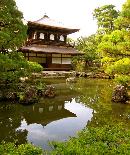 Boarder-San: Kyoto Temples,Shrines and Shogun Castles.