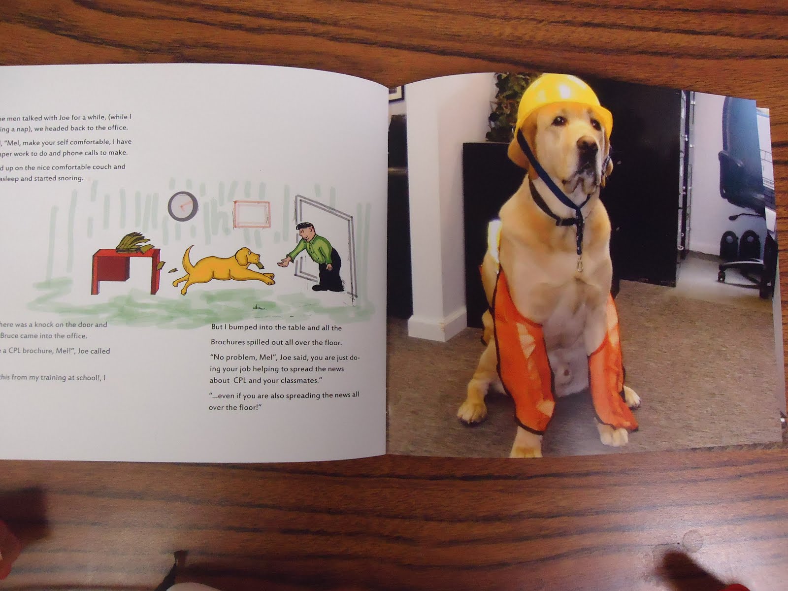 FS Supply Co: Mel the Helper Dog Children's Book