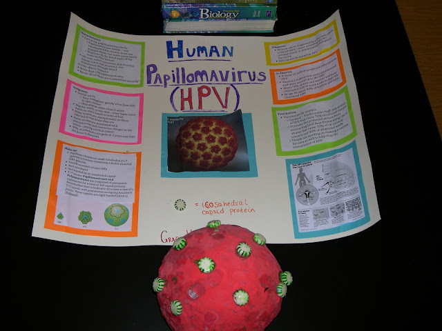 Bronxville Science Department: Honors Biology II Virus Projects