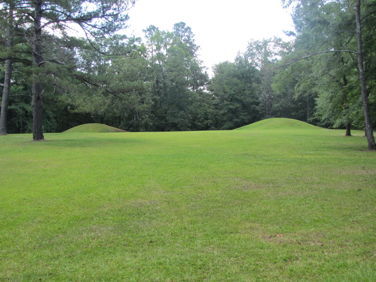 Tidbits of Joy: Arkansas/Mississippi road trip