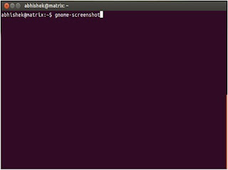 How to Take Screenshots on Linux Using the Command Line | Tech Source
