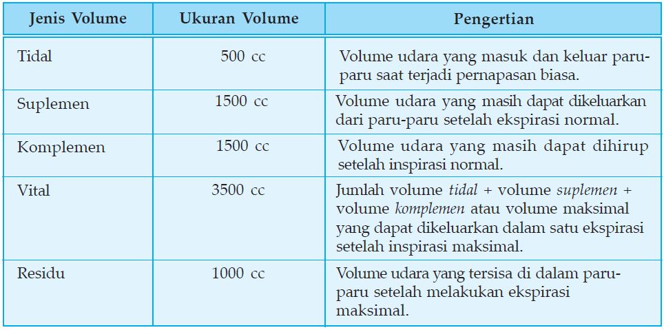 Mekanisme Proses Pernapasan Pada Manusia (Pernapasan Dada dan ...
