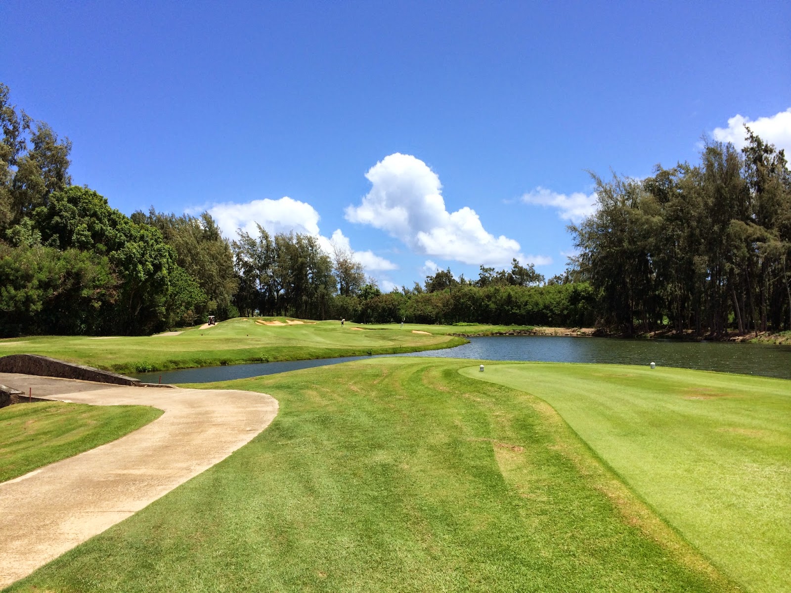 TASTE OF HAWAII: TURTLE BAY GOLF RESORT - THE PALMER COURSE