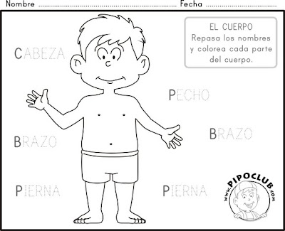 Actividades y ejercicios para infantil y primaria: Escribe las partes ...