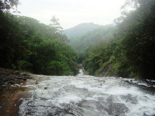 GREEN HILLS TEA: VISIT BEAUTYFUL KALAWANA