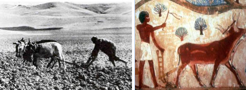 NephiCode: Tilling in Ancient Israel and Among the Nephites