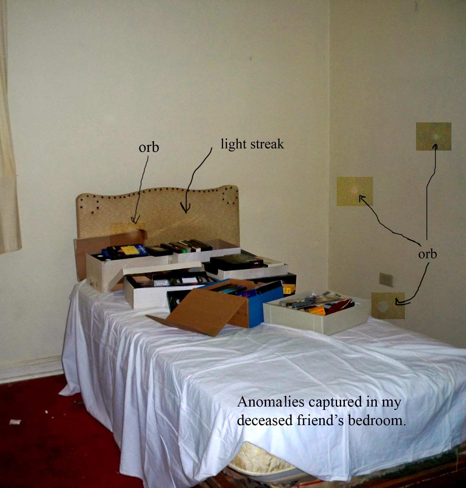 Anita Jo Intenzo-Haunted Author: ESTATE OF HORROR- THE EVIDENCE PART 1