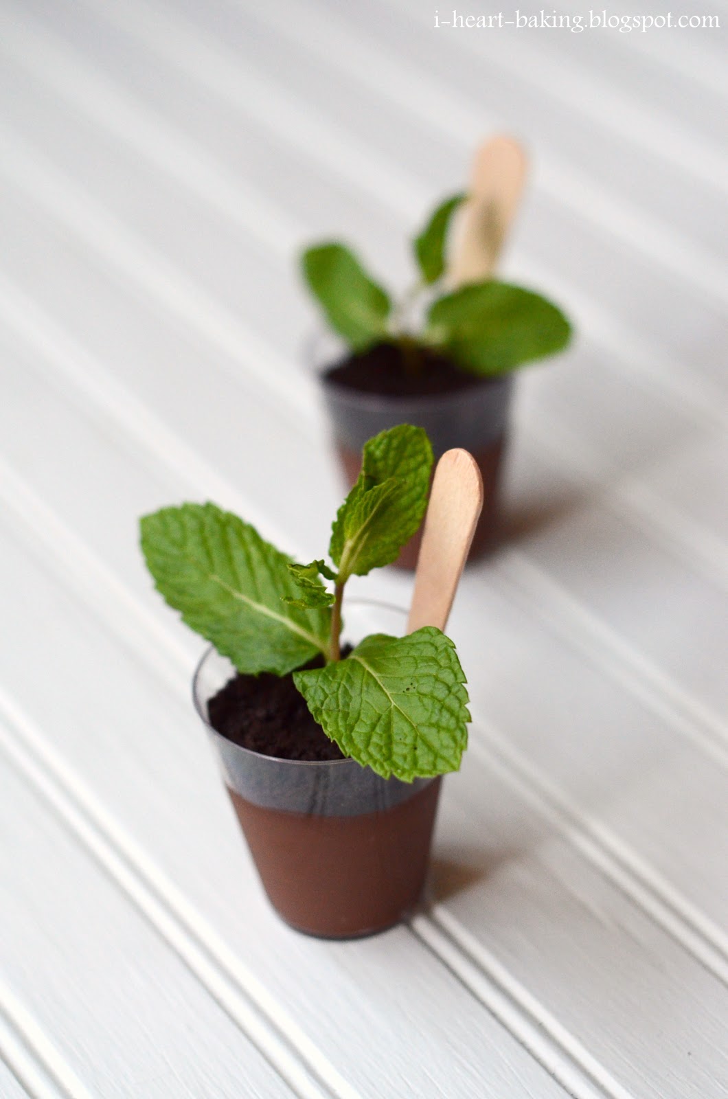 i heart baking!: potted plant chocolate puddings